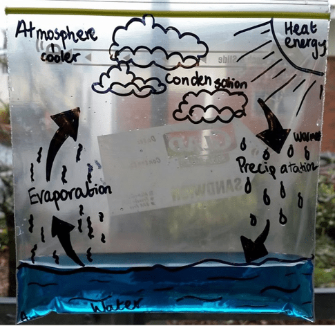 Earth Day Activities for Children | Stepping Stone School