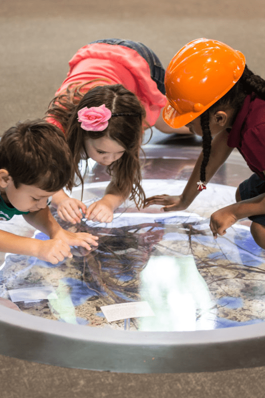 Interactive Classroom | Austin's Premier Early Childhood Education ...